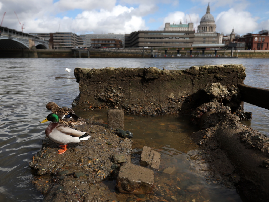 Thames Water écope d'une amende salée pour pollution - RTN votre radio ...
