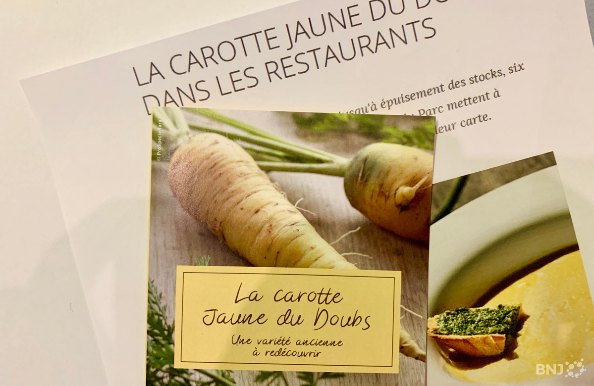 La carotte jaune du Doubs de retour dans les assiettes - RTN votre ...